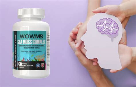 Wowmd Sea Moss Complex Review Did It Improve My Health