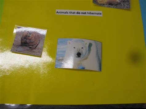 Capilano Playschool Adapt Hibernate And Migrate