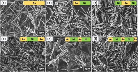 Design And Imaging Of Uncoated Structures Of A Pure Gold Nanowires Download Scientific