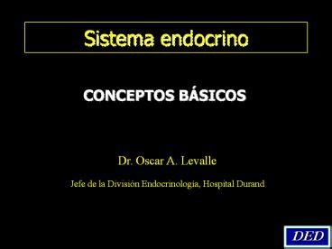 PPT Sistema Endocrino PowerPoint Presentation Free To View Id