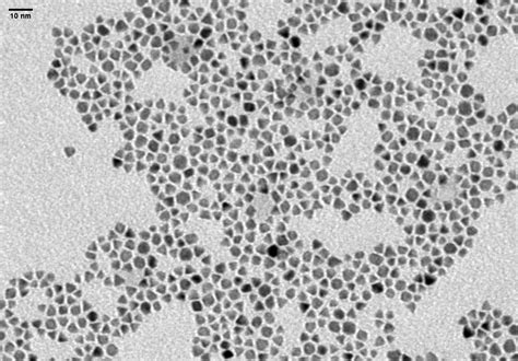 Can I Count Different Shape With The Imagej Page 2 Image Analysis