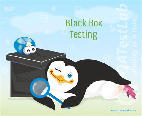 Black Box Testing Definition QATestLab
