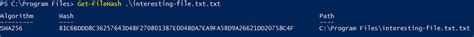 Hacking With Powershell Tryhackme Writeup Walkthrough