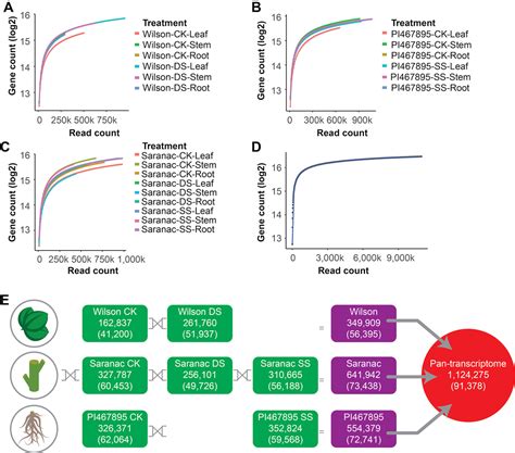 Transcriptome Network Identifies Key Regulators And Noncoding Rnas In