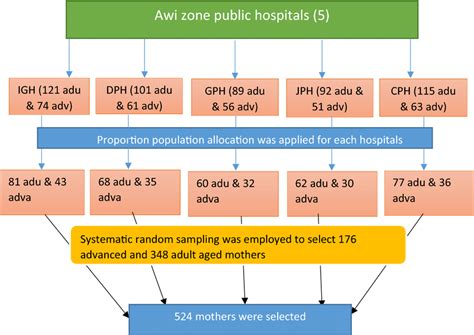 Schematic Presentation Of Sampling Procedure To Select 524 Women At Download Scientific