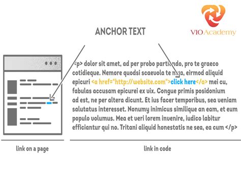 Anchor Text Là Gì Cách đặt Anchor Text Tối ưu Nhất