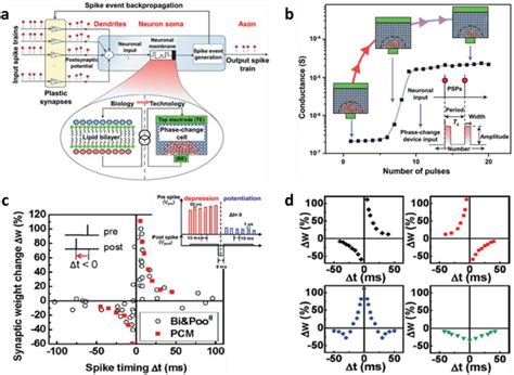 Pcram Neuronal System And Synaptic Simulation A Schematics Of Pcram Download Scientific