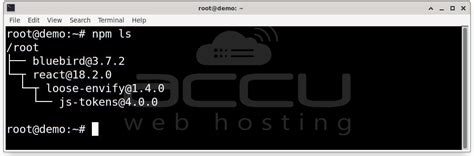 How To Install Npm On A Linux Server Linux Vps Hosting Accuweb