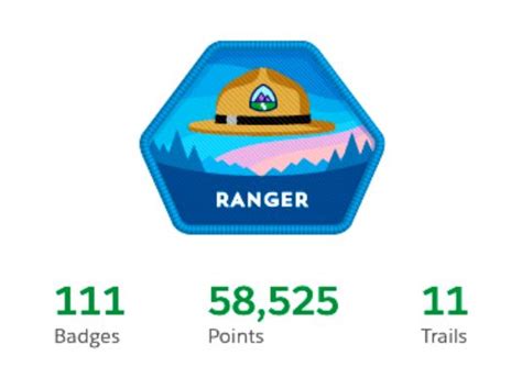 Praveen Kumar On Linkedin Salesforce Trailblazers Trailhead