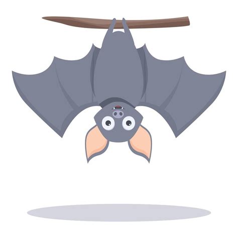Cute Cartoon Bat Hanging Upside Down From A Tree Branch 47055765 Vector