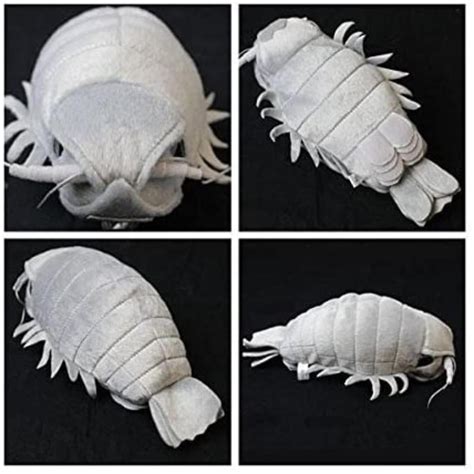 Giant Isopod Cat