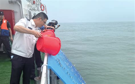 445万尾鱼苗“安家”洞头海域