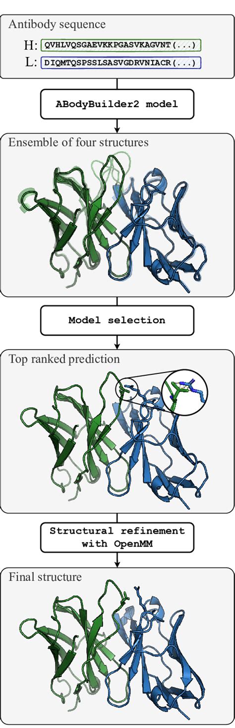 Pipeline Used To Predict Structures By ABodyBuilder2 First The Heavy