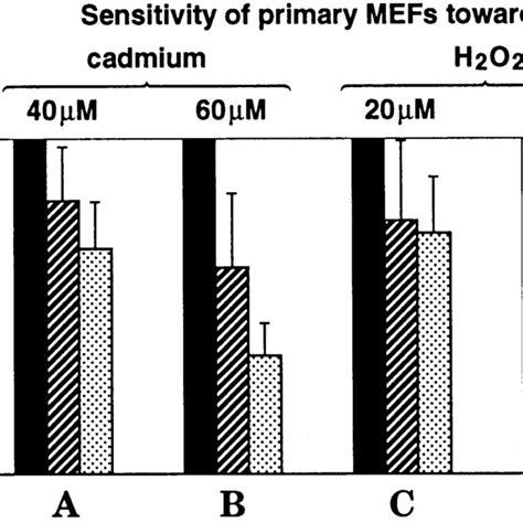 γ Gcs Hc As A Target Gene Of Mtf 1 A The γ Gcs Hc Gene Promoter