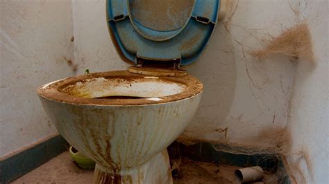 Toilet Mistake ટોયલેટની આ ભૂલો પડશે ભારે બીમારીનું વધે છે જોખમ જાણી