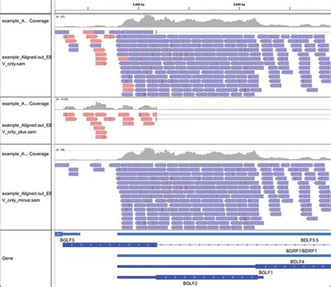 Analysis Of Ebv Transcription Using High Throughput Rna Sequencing Rna Seq Blog