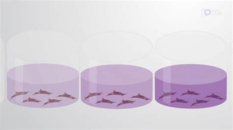 Luciferase Assay To Study Efficacy Of Antiparasitic Chemicals Against