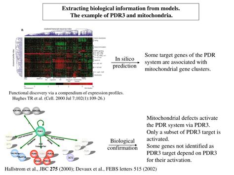 ppt dna microarrays and functional genomics powerpoint presentation