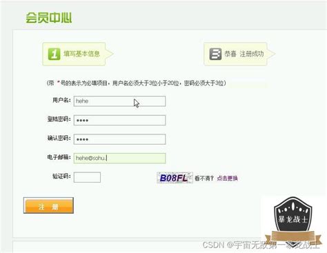 动漫主题网站 Csdn博客