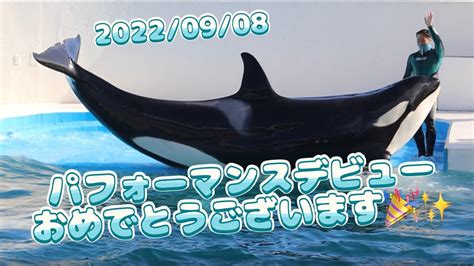 ルーキートレーナーパフォーマンスデビューおめでとうございます YouTube