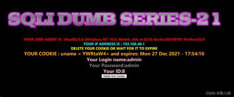 小迪安全第17天 Web漏洞，sql注入之二次，加解密，dns等注入小迪安全17 Csdn博客