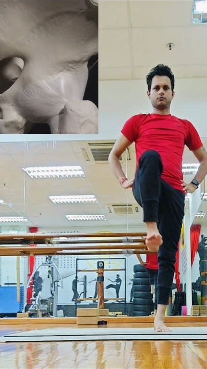 Hips Rotation And Mobility Shortvideo Shorts Hipstretching