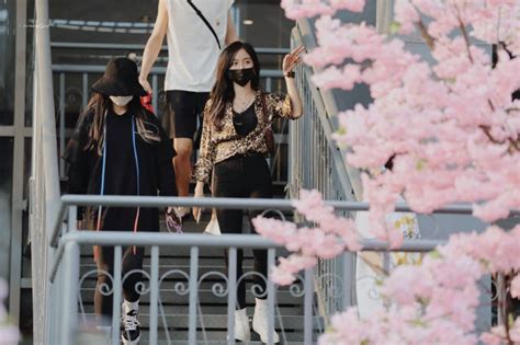 吴宣仪穿豹纹衬衫复古摩登 修身牛仔裤秀美腿吸睛 搜狐大视野 搜狐新闻
