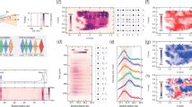 A Local Adaptive Fuzzy Spectral Clustering Method For Robust And