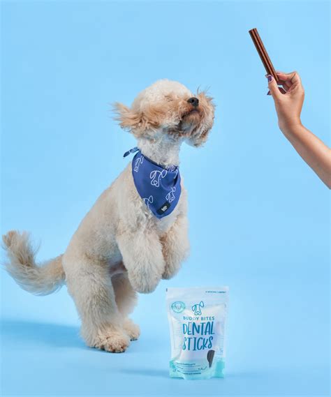 Buddy Bites Dental Sticks Buddy Bites Sg