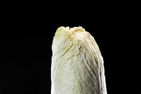 검은 배경에 신선한 중국 양배추 머리입니다 비건 음식 라이프 스타일 나파 양배추 중국 양배추 브라시카 라파 L 페키넨시스 그룹