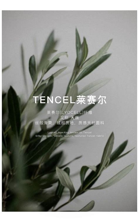 初棉丝般爽滑 绒般质地 100 天丝衬衫女垂感2021春装蓝色打底衬衣 tmall com天猫