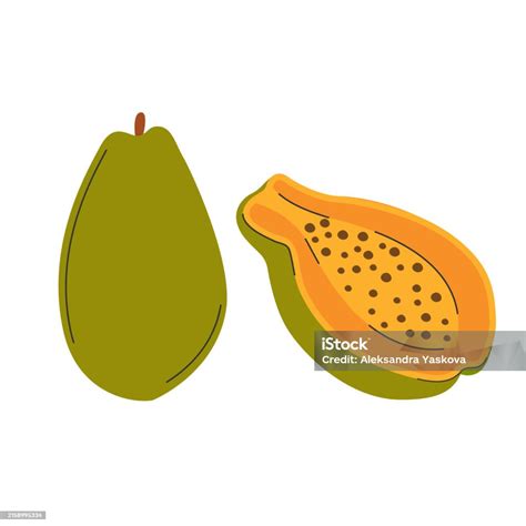 파파야 과일 반 통째로 손으로 그린 잘 익은 건강 식품 Pawpaw 클립 아트 과일 건강한 생활방식에 대한 스톡 벡터 아트 및 기타 이미지 건강한 생활방식 건강한