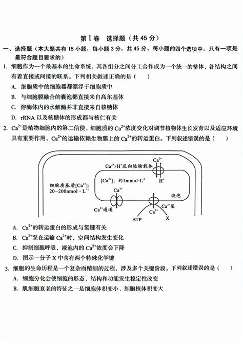 2025安徽a10联盟新高三开学联考生物试题及答案北京高考在线