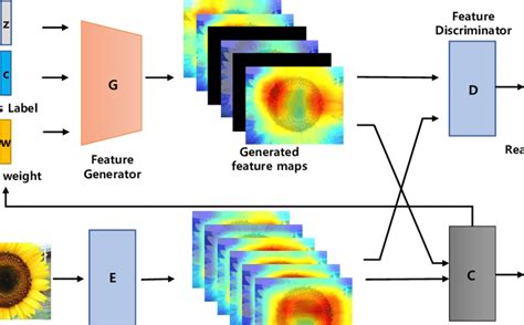 Structure Of The Proposed Model Download Scientific Diagram