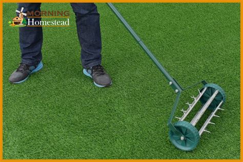 Spike Aerator Vs Plug Aerator Vs Core Aerator What Works