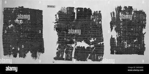 Papyrus Fragments Inscribed In Greek Papyrus Fragments Inscribed In