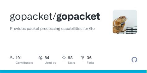 Github Gopacketgopacket Provides Packet Processing Capabilities For Go