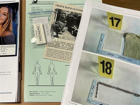 unsolved case file game fatal attraction inspective unsolved case files