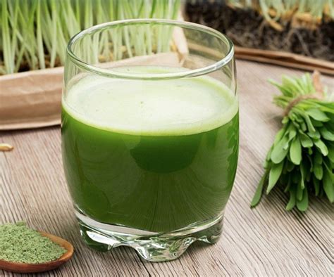 Chlorophyll Forte Santegra(Сантегра), Хлорофилл Форте, природный ...