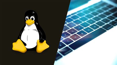 Consigue Tu Cupón Udemy Y Accede Al Curso De Línea De Comando De Linux