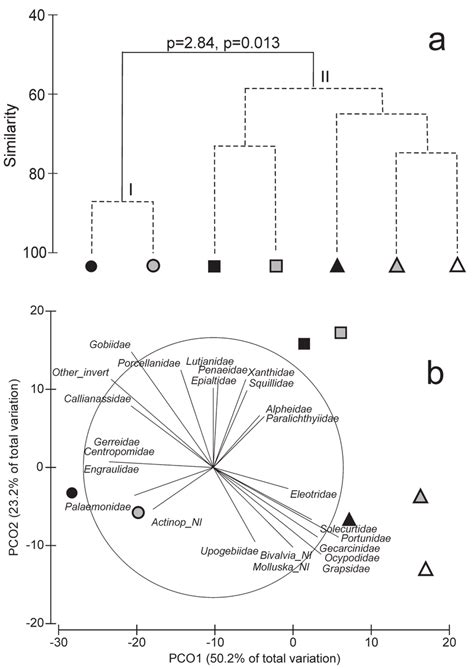 A Dendrogram Showing The Result Of Numerical Classification Of Stomach