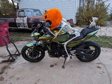 My Junebug Color Wrapped Bike R Kawasaki