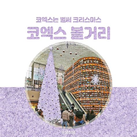 코엑스 내외부 볼거리 별마당 도서관 크리스마스 트리 네이버 블로그