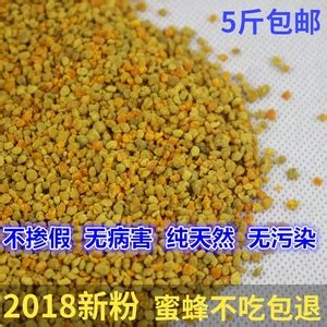 中蜂大量采集水稻花粉 第3页 大山谷图库