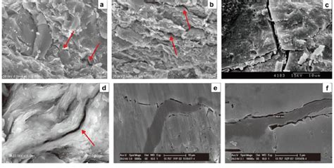 76 Microfracture Characteristics Of Black Rocks In Longmaxi Formation