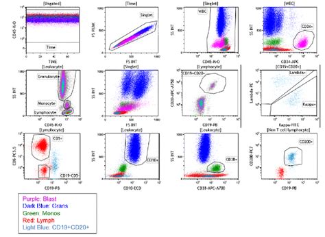 Clearllab 10c Panel Design Webinar