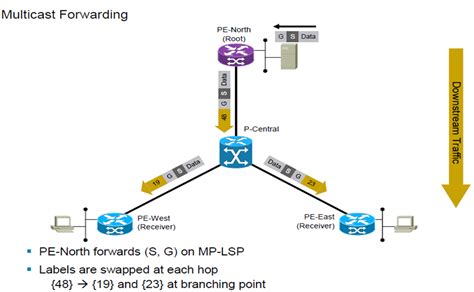 Designing Multicast VPN Using MLDP Cisco Community