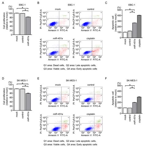 Cell Proliferation And Apoptosis Assays Following Ectopic Expression Of