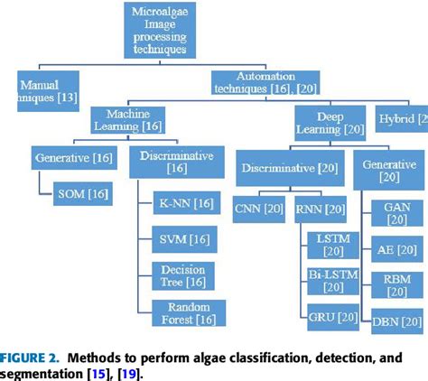 Figure 2 From A Systematic Review Of Deep Learning Microalgae