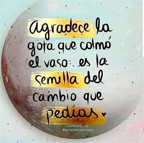 Pin De Cintia En Citas Motivacion Frases Frases De Inspiracion Frases